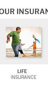 Pie Insurance Revenue 🥇 Nov 2025